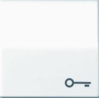 JUNG AS500 ENKELE WIP KUNSTSTOF SYMBOOL SLEUTEL-DEUR-AAN-UIT-SCHAKELAAR ...