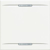 LEGRAND AXOLUTE WHITE WIP ZONDER SYMBOOL 2F 2 MODULES Beng Shop